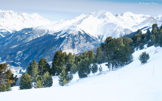 La Norma Ski Resort Review - French Alps - MountainPassions